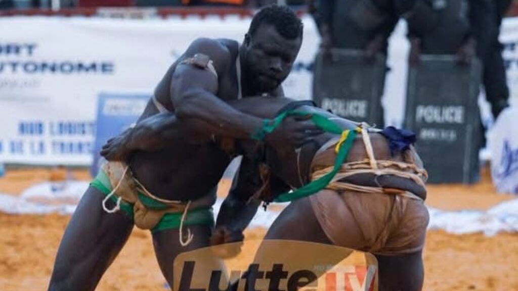 Bagarre au face-à-face du CICES : la Fédération sénégalaise de lutte ...